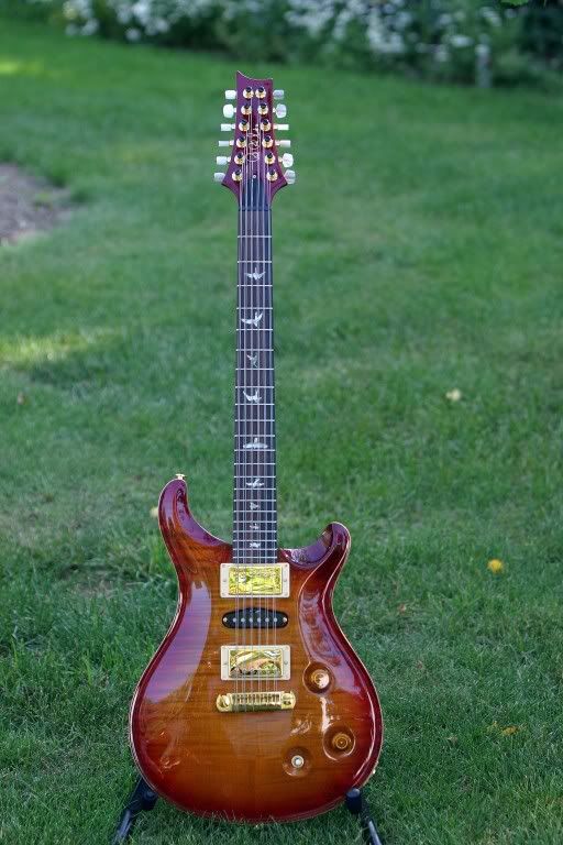 Viewing a thread - Trials and tribulations of becoming an Ovation owner