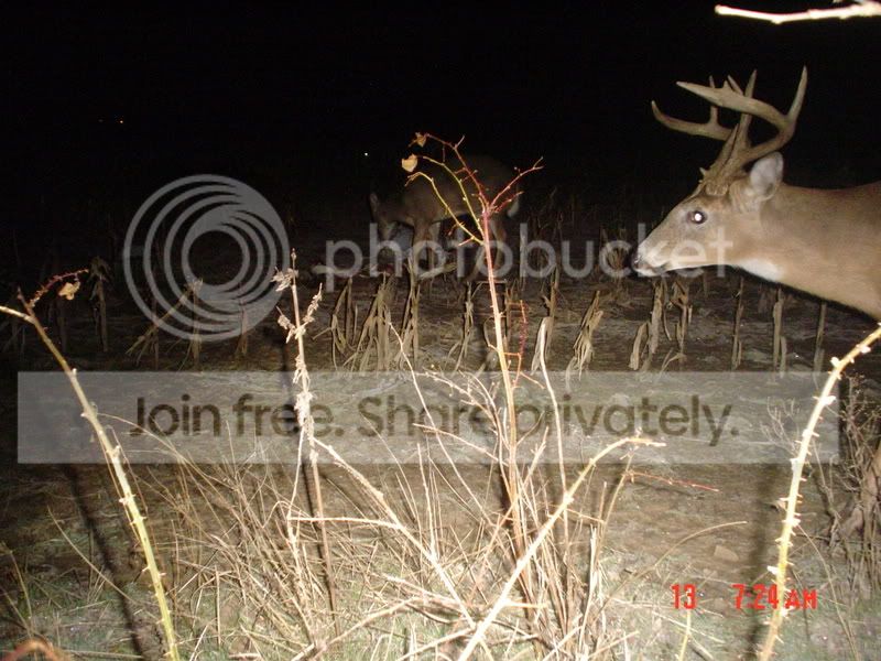 Gut Pile Pics (Part 2) | Page 2 | Archery Talk Forum