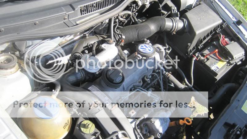 My TDI Mk4 GTI | TDIClub Forums