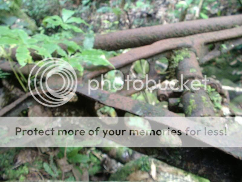 Flight 441, 1963 Plane crash in the kaimais. - Community Gallery ...