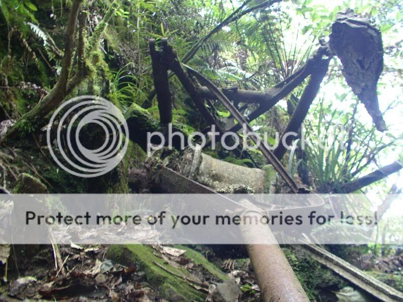 Flight 441, 1963 Plane crash in the kaimais. - Community Gallery ...