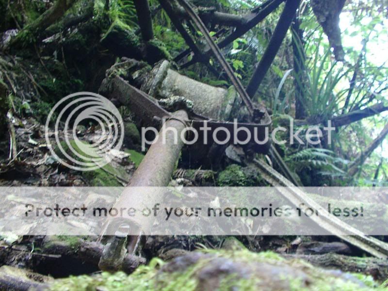 Flight 441, 1963 Plane crash in the kaimais. - Community Gallery ...