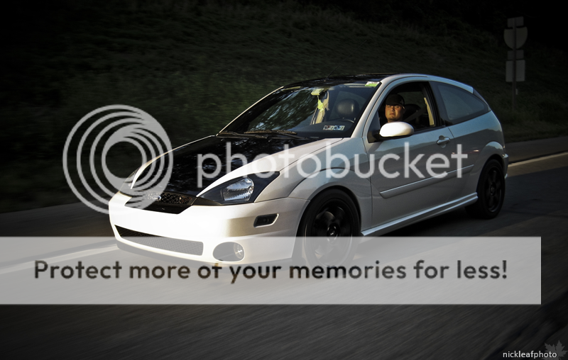 custom svt color | Focus Fanatics Forum