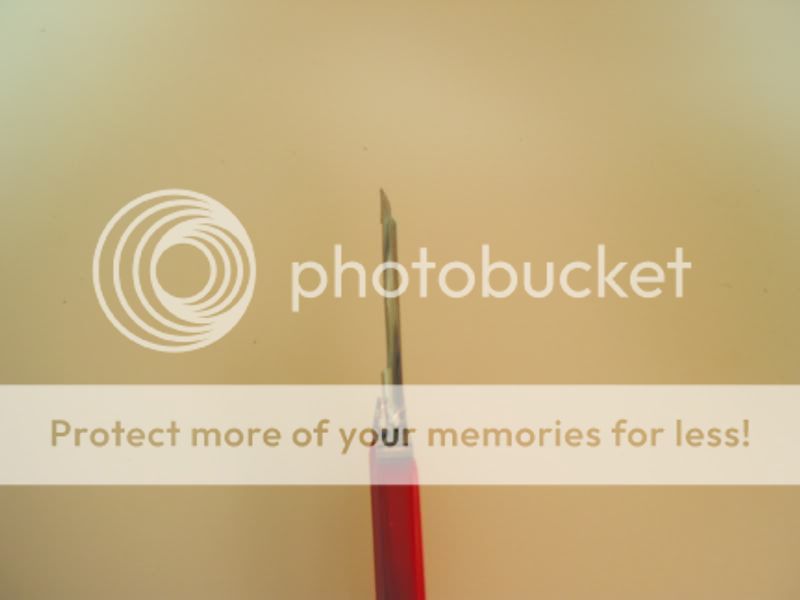 Perch Eye Removal Tool | Colorado Fisherman Forum