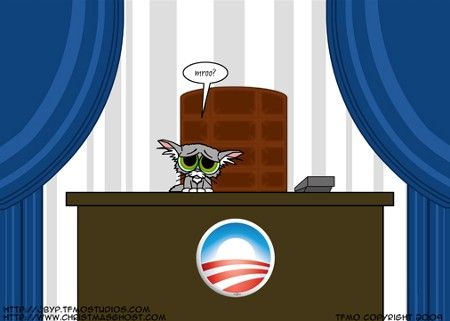 How Did A Cat Get On Obama’s Desk? » Pirate's Cove