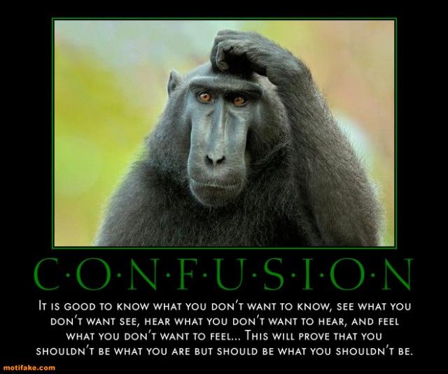 Thursday Motivational (10 Images) » Pirate's Cove