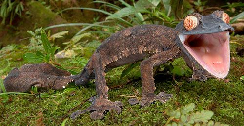 Mother Nature Reminds Us She Has A Weird Sense Of Humor On Earth Day ...