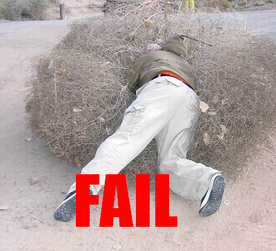 Wensday Seams Like A Gud Day For Fale (21 Images) - Pirate's Cove ...