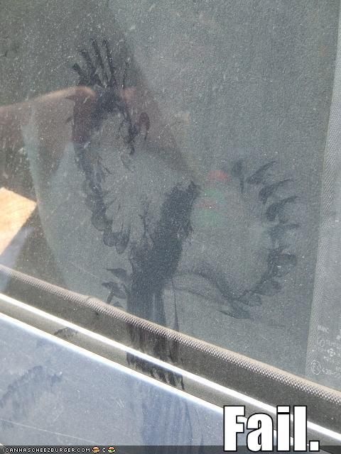 Wensday Seams Like A Gud Day For Fale (21 Images) - Pirate's Cove ...