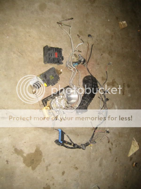 scirocco 16v complete cis-e fuel sytem, ecu, knock box and wire harness ...