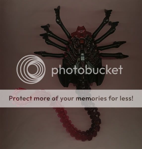 what does a "pure" Xenomorph look like?