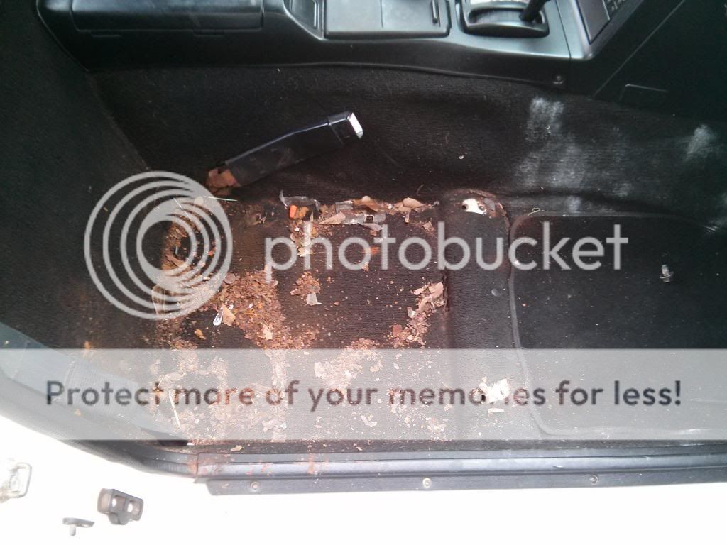 Properly cleaning a miata - MX-5 Miata Forum