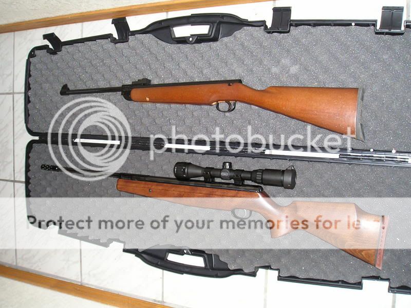 More Beeman C1 pics / discussions | Rimfire Central Firearm Forum