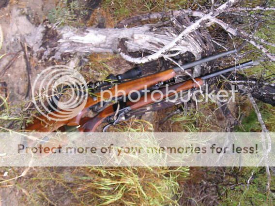 .260 REM vs .260AI vs 6.5 REM Mag vs 6.5x284 Norma | Rimfire Central ...