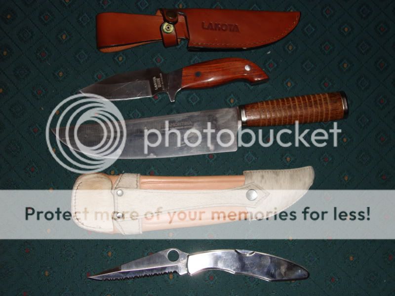 The Lakota Hawk | Rimfire Central Firearm Forum