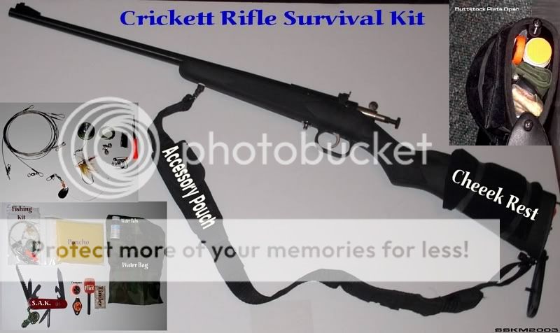 Cricket Rifle, super heavy barrel-what is it? | Rimfire Central Firearm ...