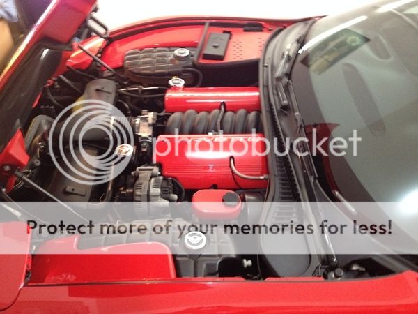 Added a POP of Color To The Engine Bay..... - CorvetteForum - Chevrolet ...