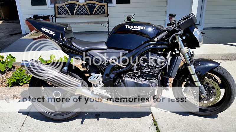 Just picked up a Triumph T595 / 955I project. | Custom Fighters ...