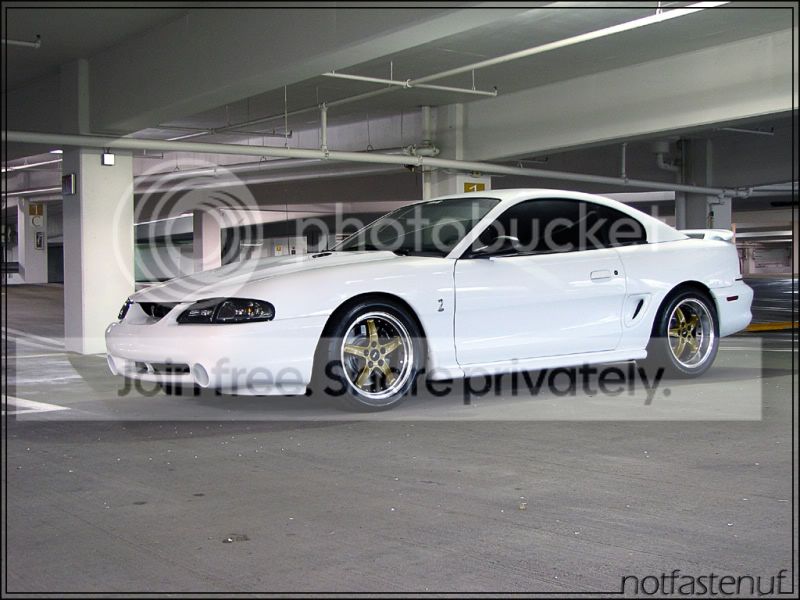 White SN's with gold wheels? | Page 2 | SN95Forums The Only SN95 1994 ...