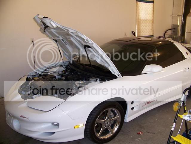 FS: 2001 Trans AM Firehawk #402 White 6 spd ***SOLD!!*** - The Official ...