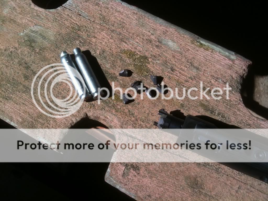 Delton plus Silver Bear - Calguns.net