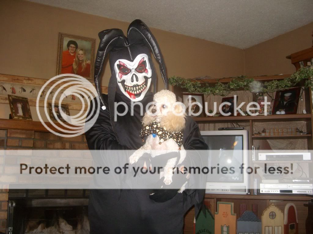 You know, it's kind of hard to be scary with a poodle | Poodle Forum