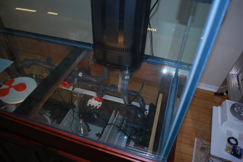 Herbie vs BeanAnimal overflow method? | Page 3 | Reef2Reef