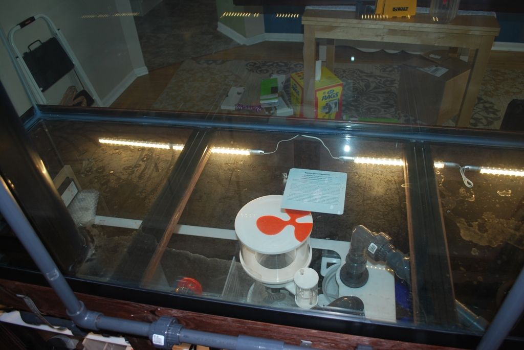 Sump Area Lighting | Reef2Reef